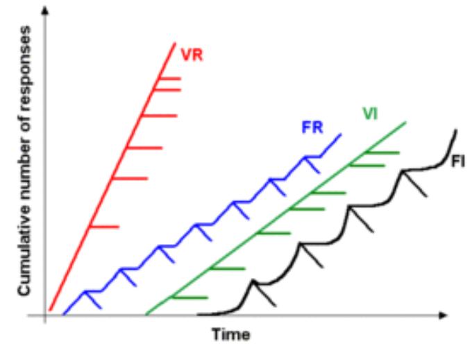 8. line graph showing schedules of reinforcement.