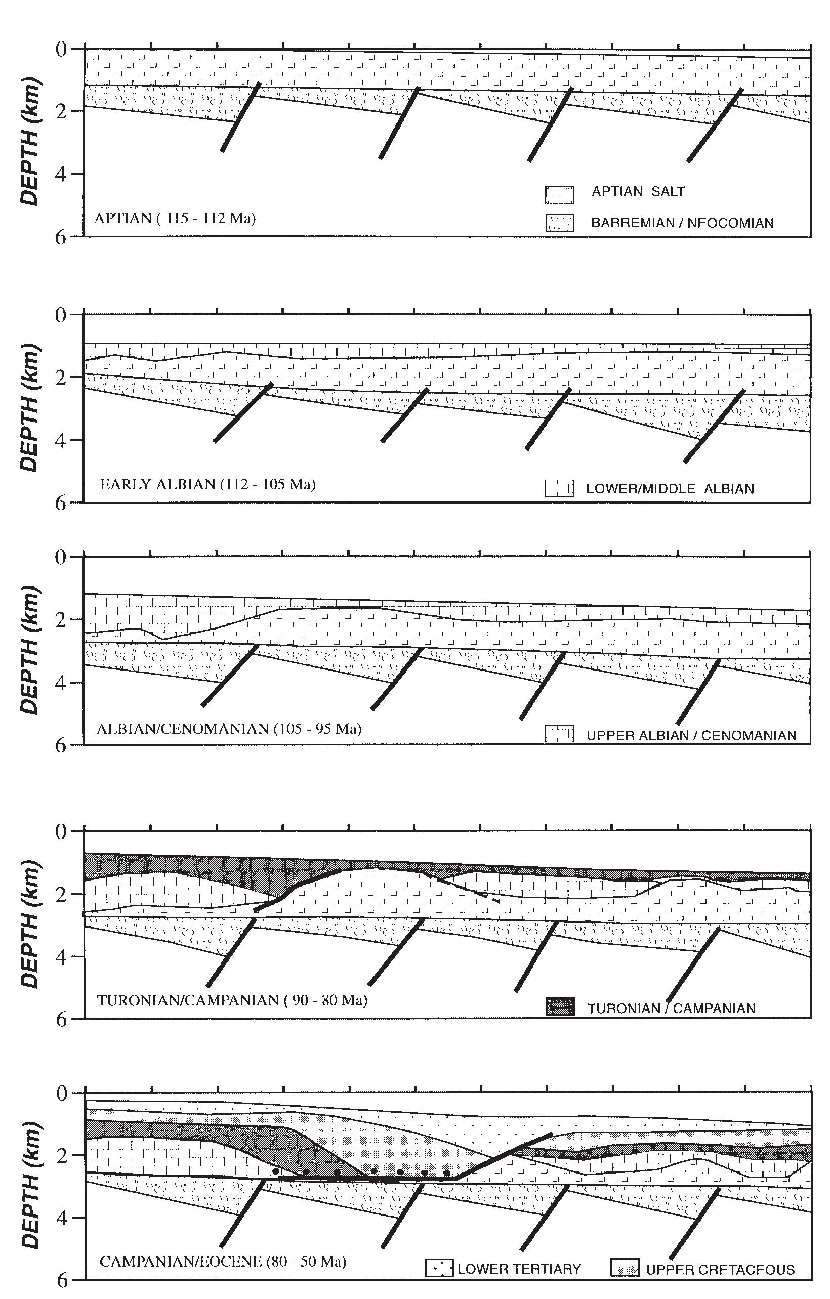 sequential schematic cross sections showing the genetic