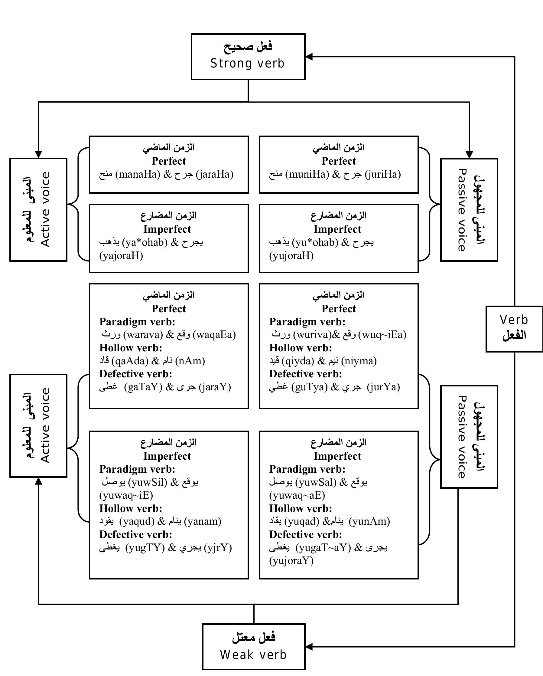 A partial classification hierarchy of arabic verbs.