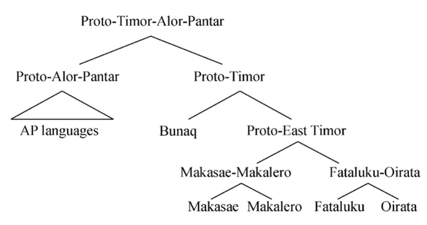 (PDF) Introduction to the Papuan languages of Timor, Alor and Pantar