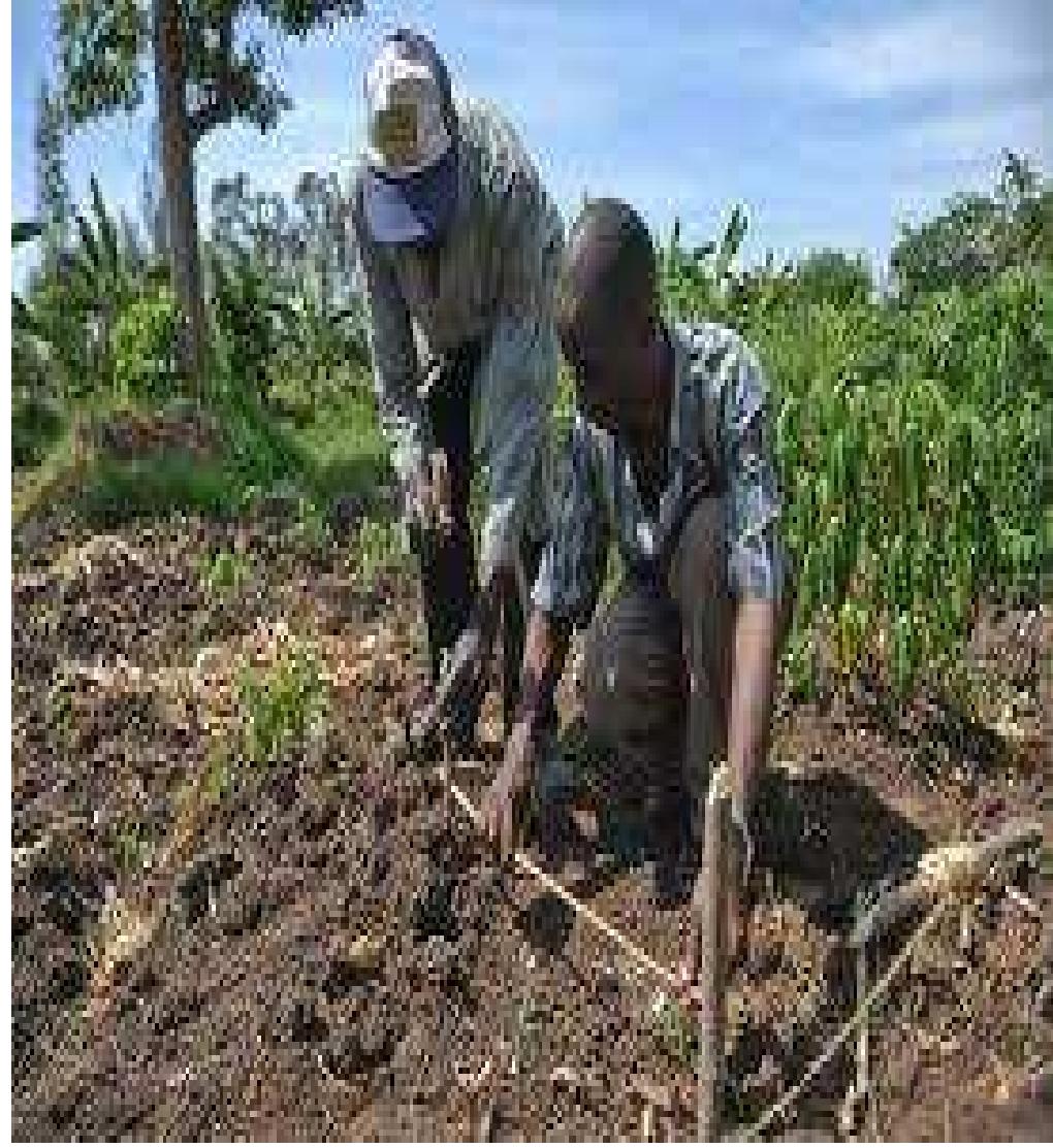 (PDF) AGRICULTURAL EXTENSION AND RURAL DEVELOPMENT HANDOUT