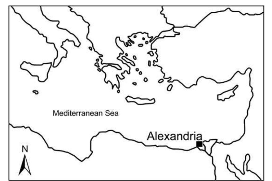Figure 1 - from The Roman Shipwreck of Antirhodos Island in