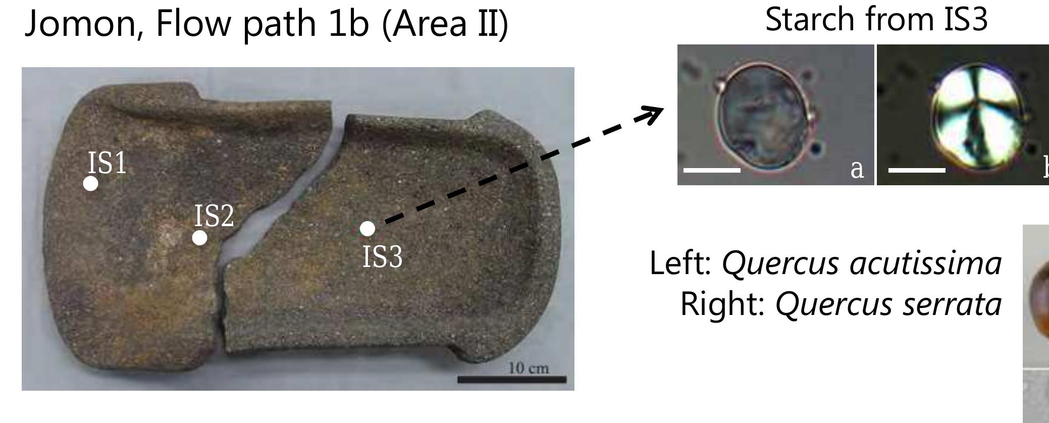 Figure 15 - from What Did People Eat in Prehistoric Japan?