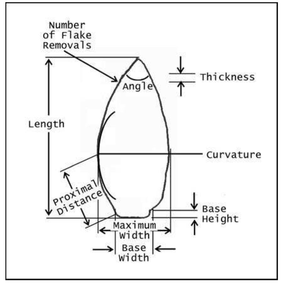 Measurement system for projectile points from 4 ven 39. all,