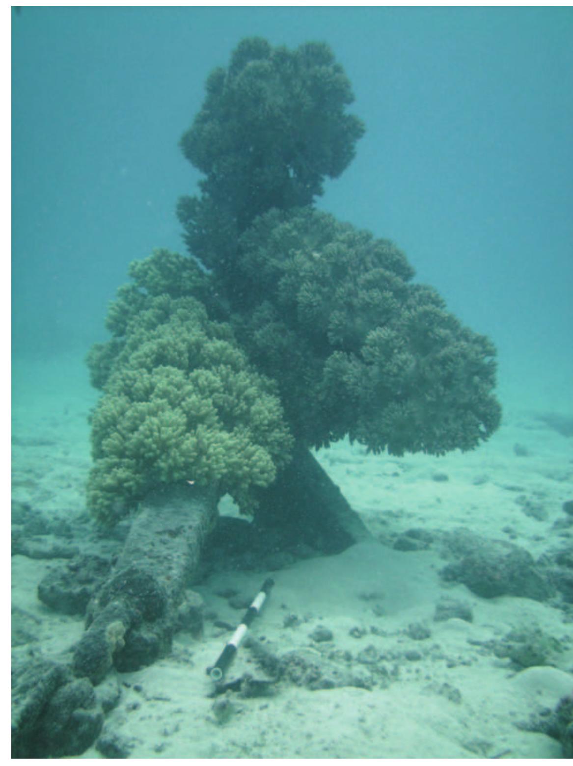 Figure 70 - Saipan WWII Invasion Beaches Underwater Heritage