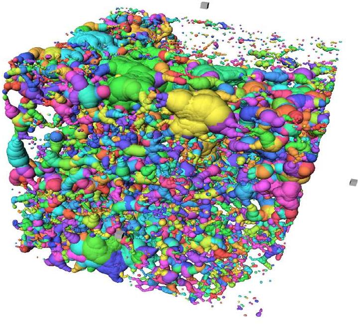 3-d segmented model pores.
