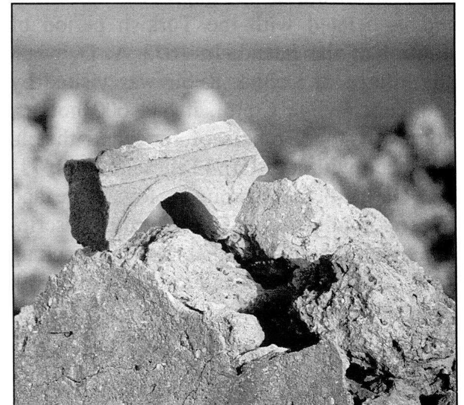 Block of carved coral from the stone-town (photo t. insoll).