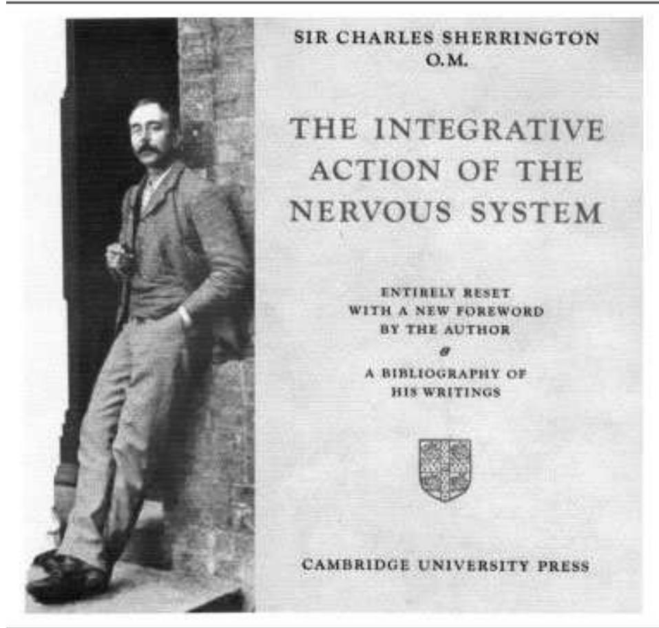 Sir charles sherrington shown as a young man was a