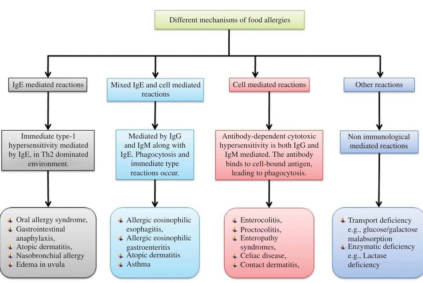 The different types of allergic reactions. (color figure