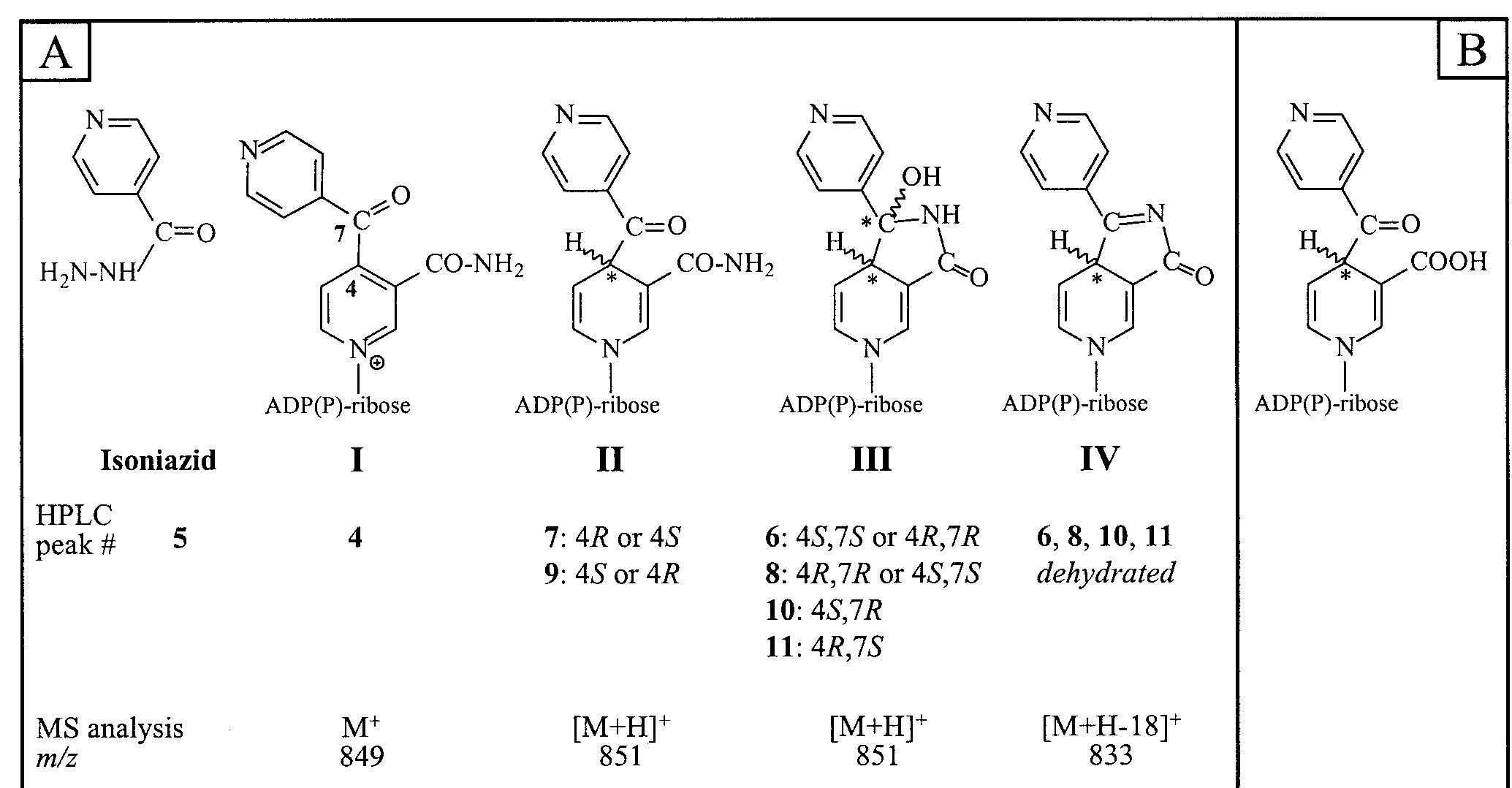 Proposed structures of different forms of adduct. (a)
