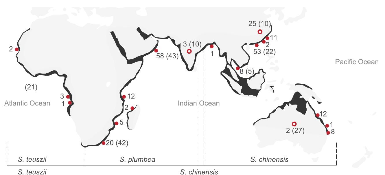 Study area map. the global distribution of humpback dolphins