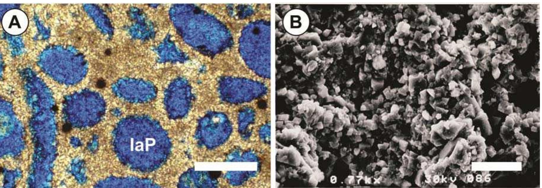Fic. 5-5. examples of porosity in dolostone samples from the