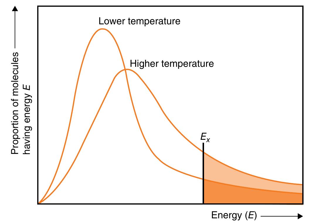 4 molecular kinetic-energy distribution for two
