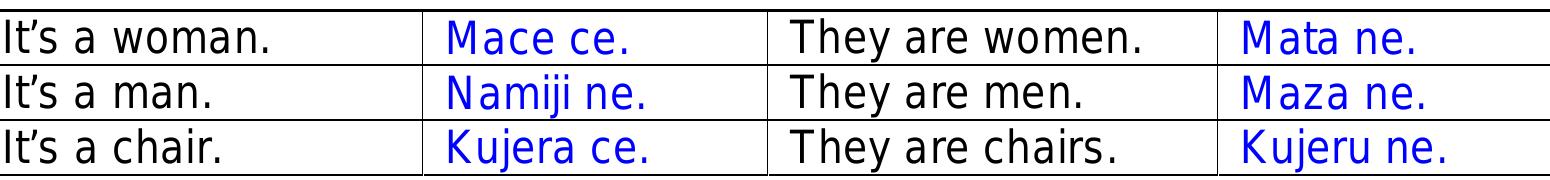Ne is used for masculine and plural nouns, as all plurals