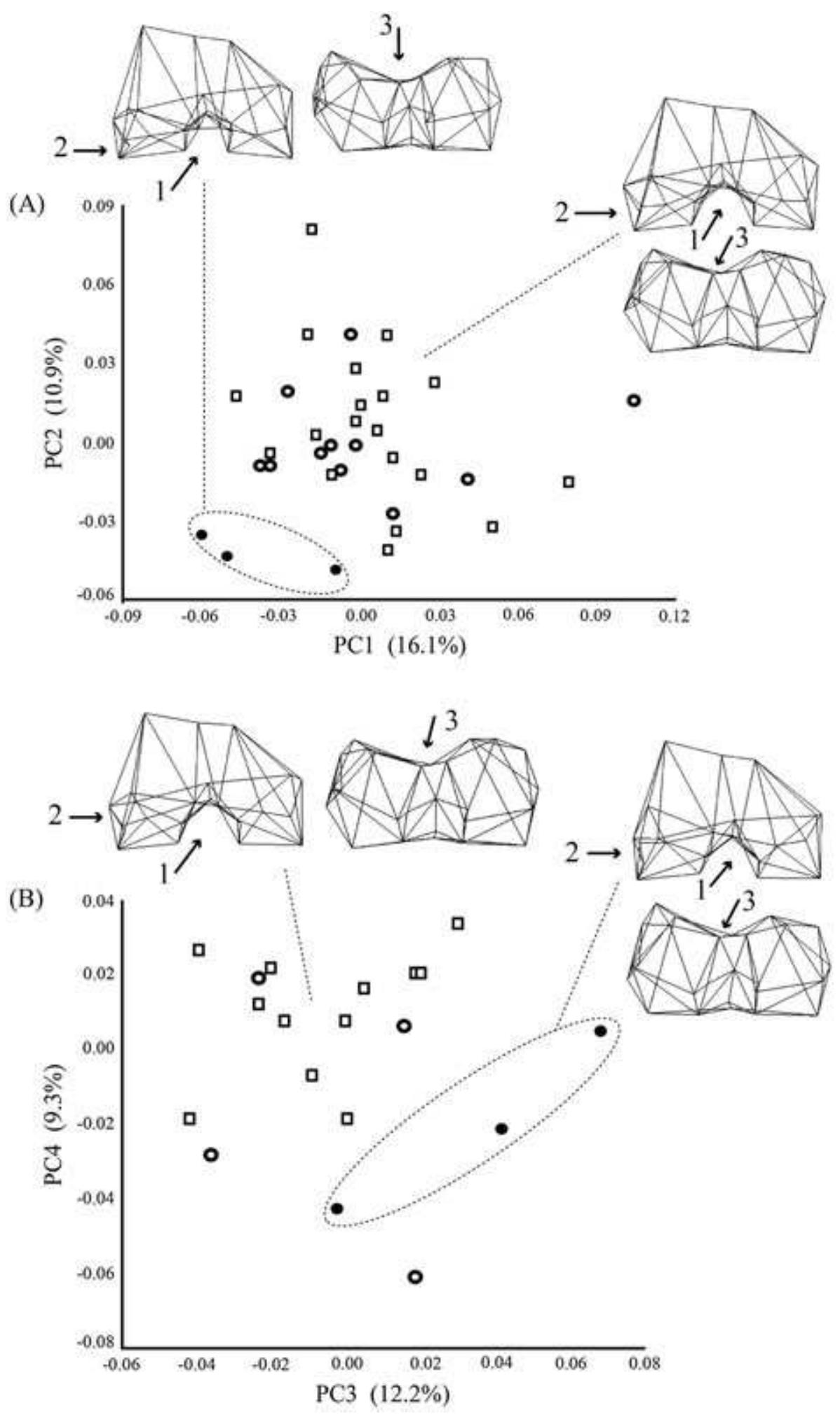Pca charts illustrating shape variability of (a) male right