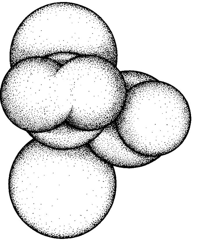 Example of the structure of hydrated na* - na* pair.