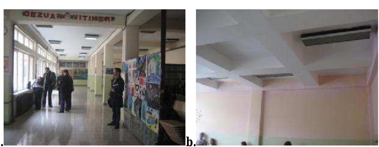 The roof: because of damage to the flat roof waterproofing