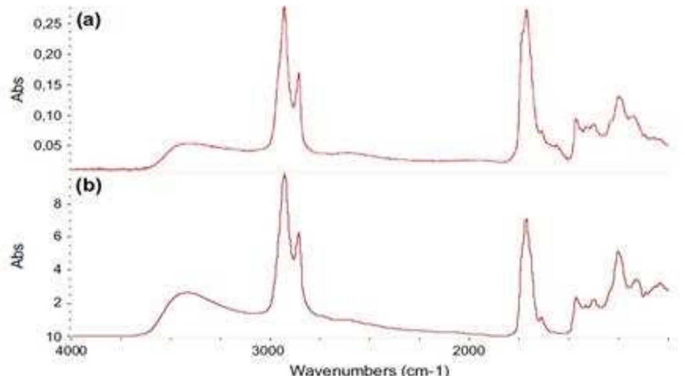 Ft ir spectrum of powdered superficial brownish layer of