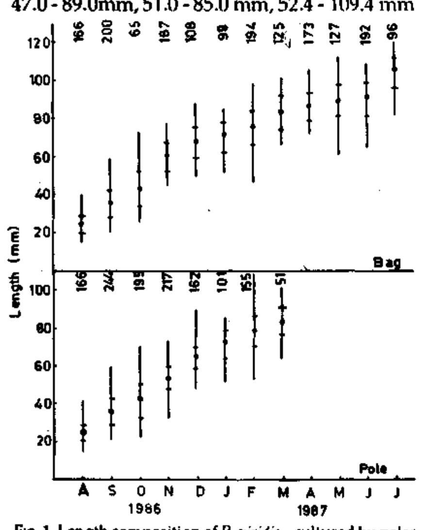 Figure 1 - BIOLOGY OF THE GREEN MUSSEL, PERNA VIRIDIS