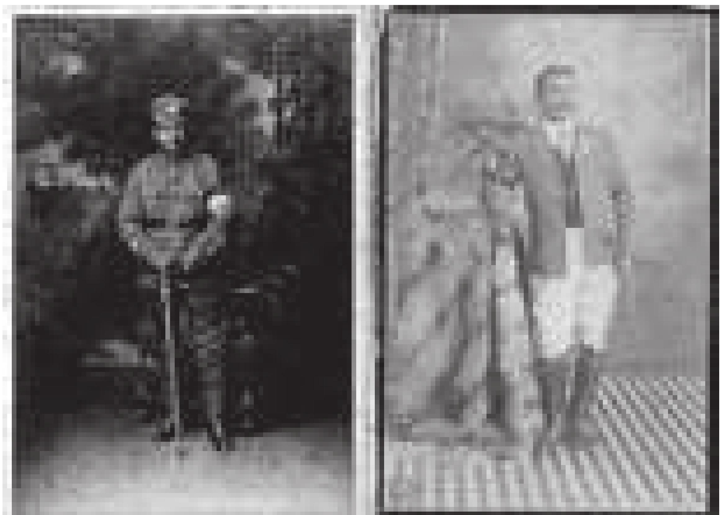 The original photographs are lost but photocopies are in the