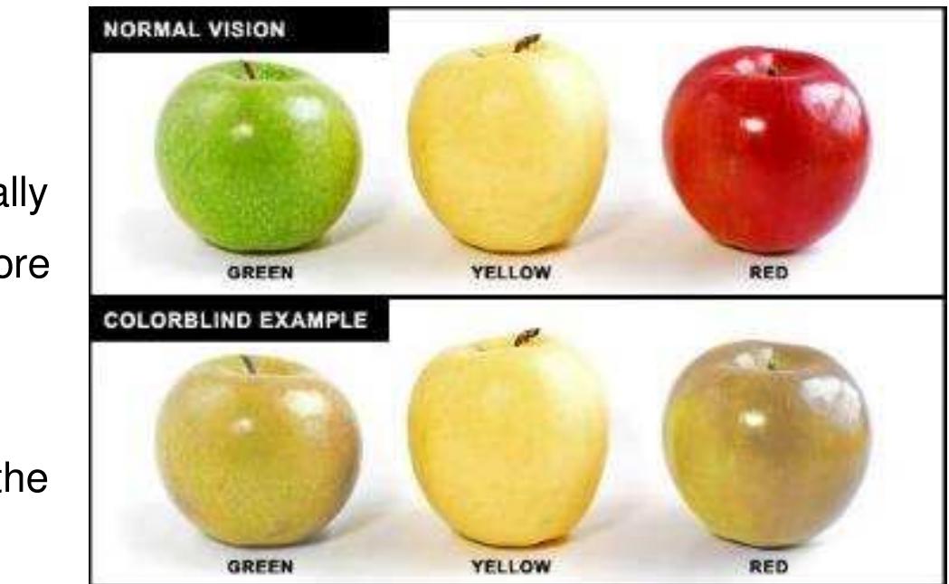 Figure 4 - Quantum Vision System