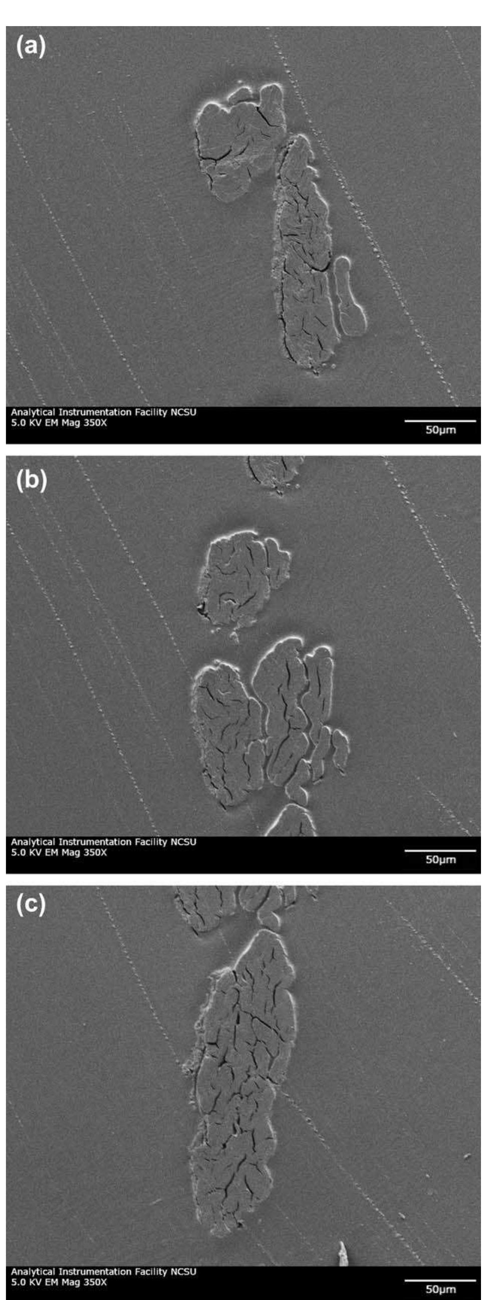 Sem images of hemp fiber cross-sections em- bedded in epoxy