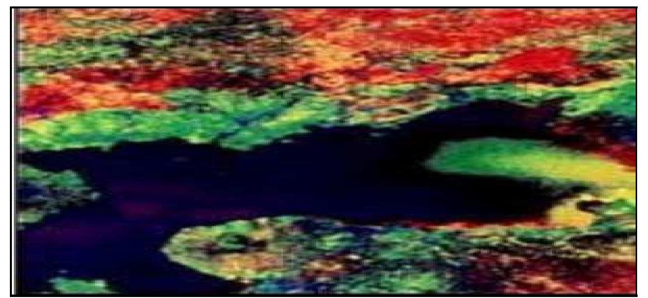 Nyanza gulf of lake victoria receives water from five rivers