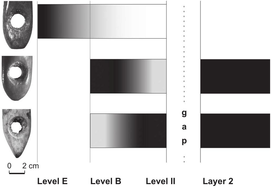chronological evolution of needles head shape.