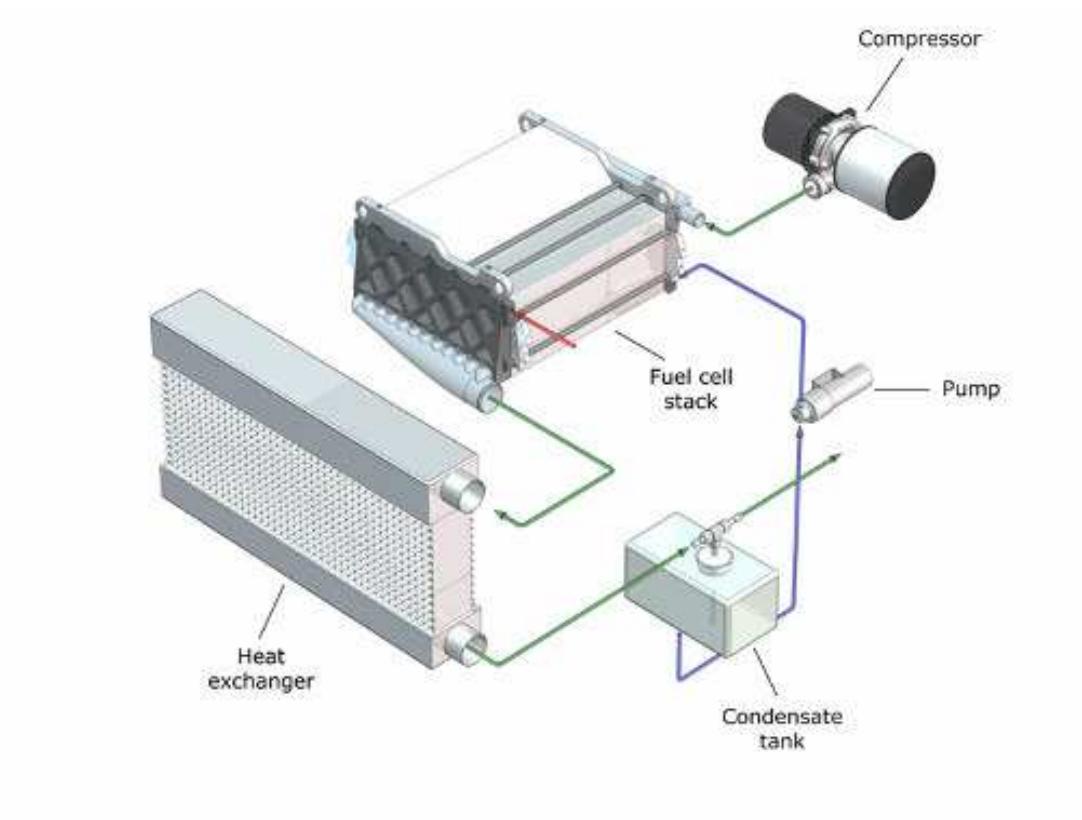 Evaporatively cooled system buffer condensate tank is