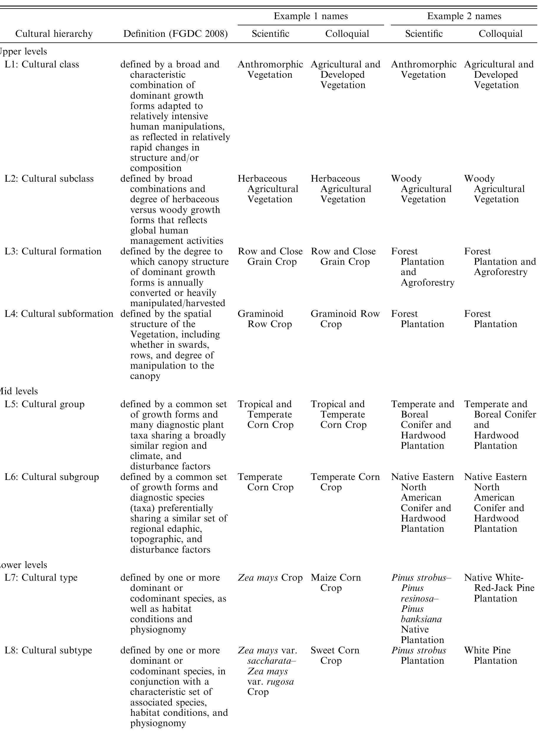Levels, definitions, and examples of the hierarchy for