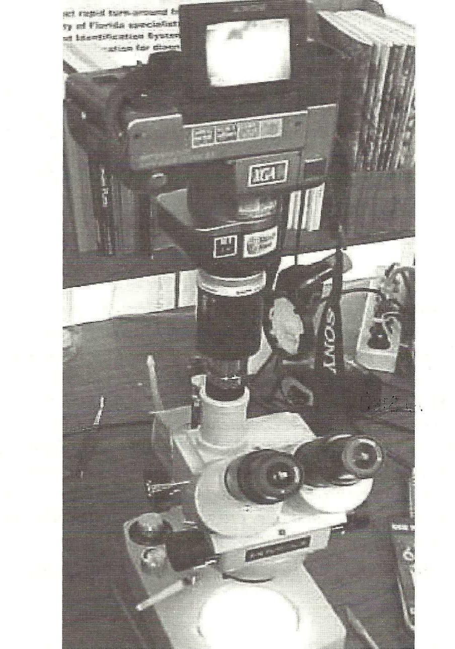 Ddis equipment setup: a microscope mounted with a som mvc