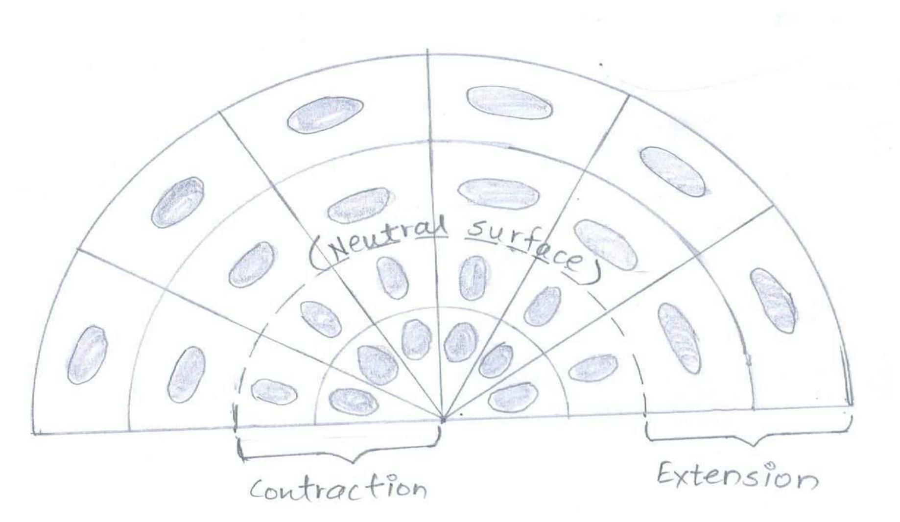 (PDF) mechanism of folding