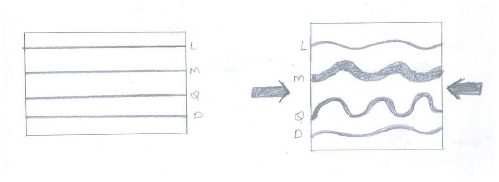 Layers of marl, limestone, dolomite and quartzite in a shale