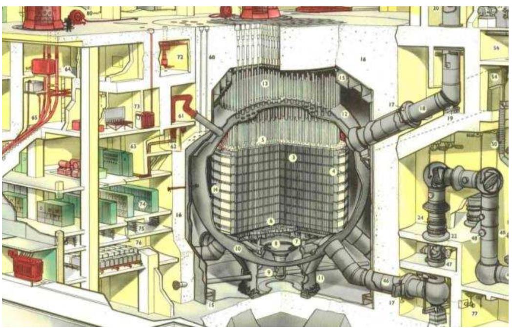 Stills and footage provided through a detailed camera