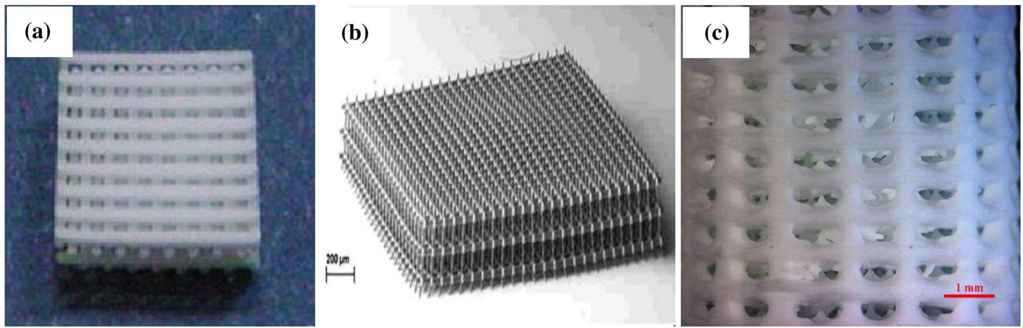 Examples of bioceramics scaffolds built by advanced sla: