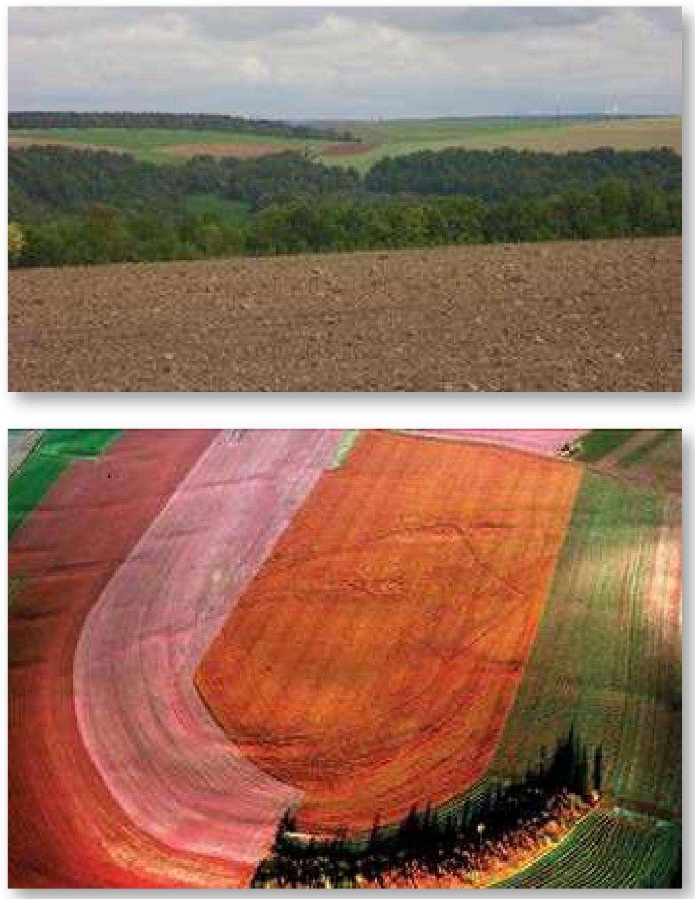 Trench 20 roman feet (5.92m) wide across the broad plaine