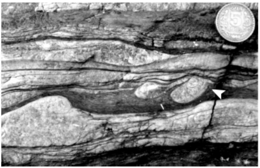 Tig. 10. load cast at the base of type e storm event beds