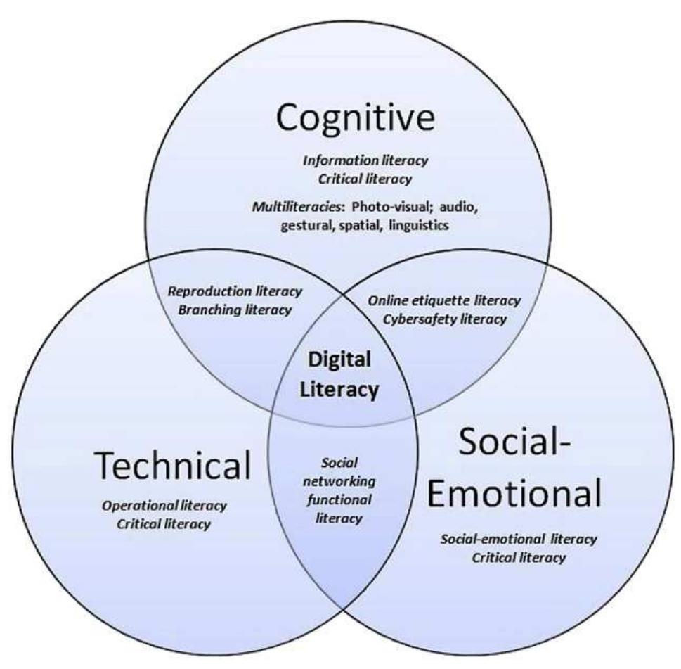 (PDF) Can we teach digital natives digital literacy