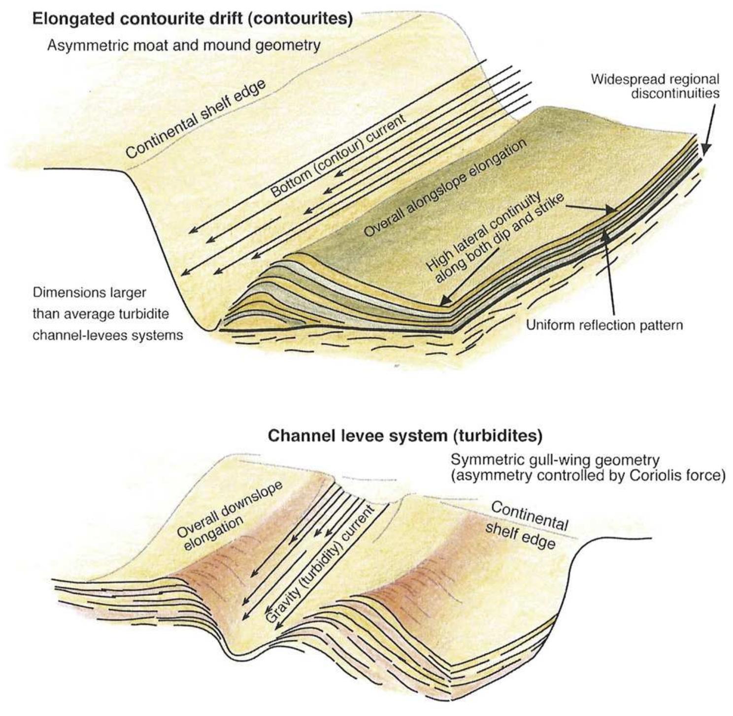 Figure 4 - Contourites and associated sediments controlled