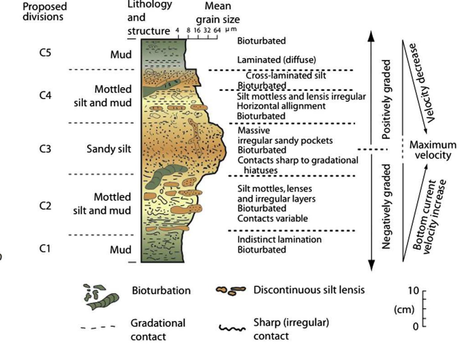 Standard facies model of contourite sequence, linked to