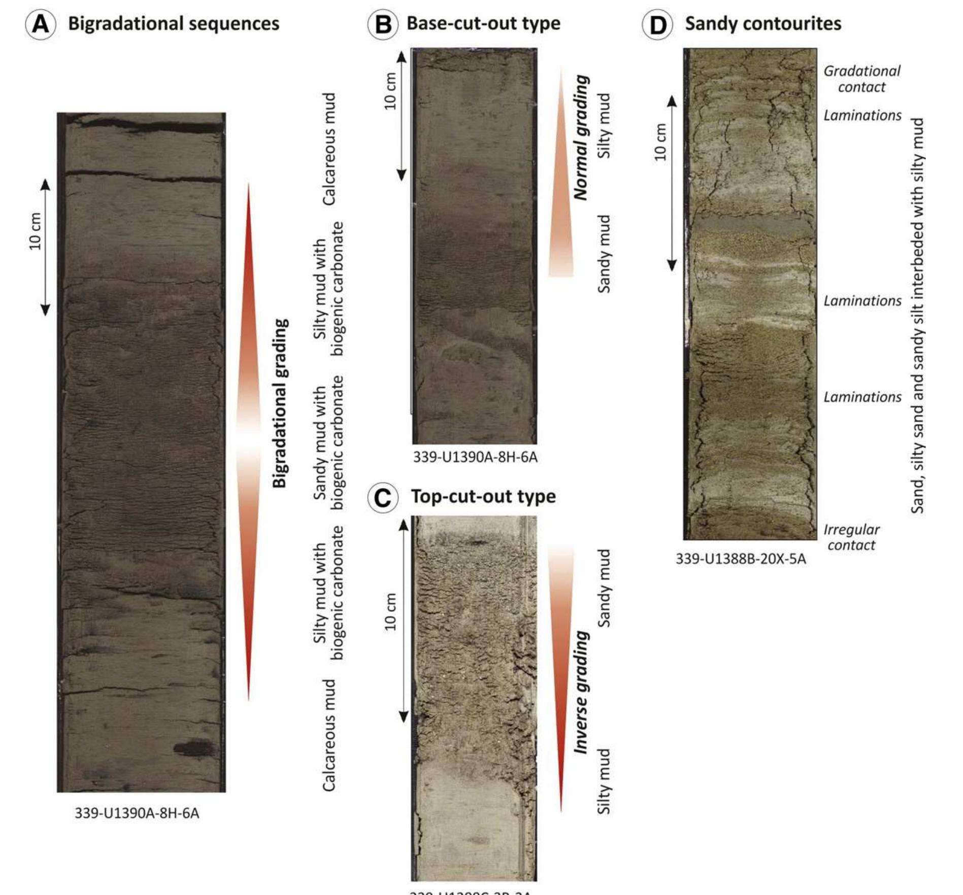 Examples of the principal sedimentary facies for the