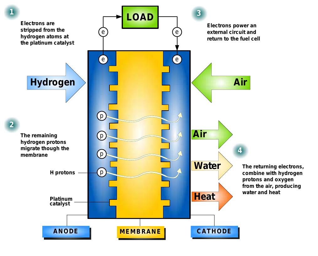 Pemfc operation as an example, figure 2 shows a typical pem