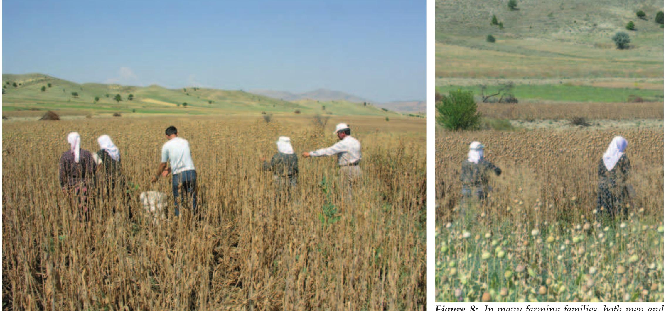 Given the scales of drug production in different parts of