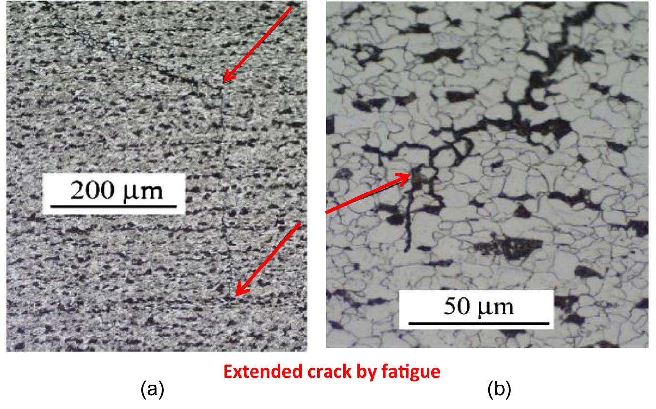 (a) cracked profile of extended stress corrosion cracking