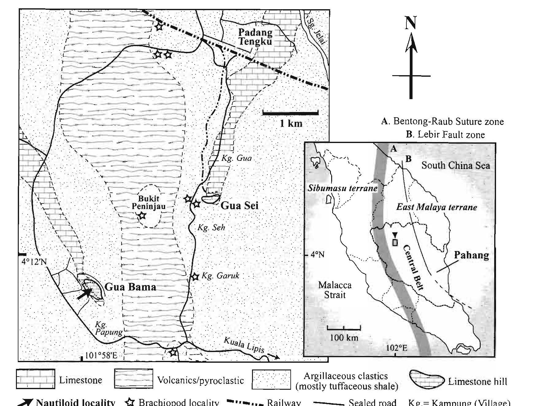 Figure 1 - from Triassic nautiloid Sibyllonautilus from Gua