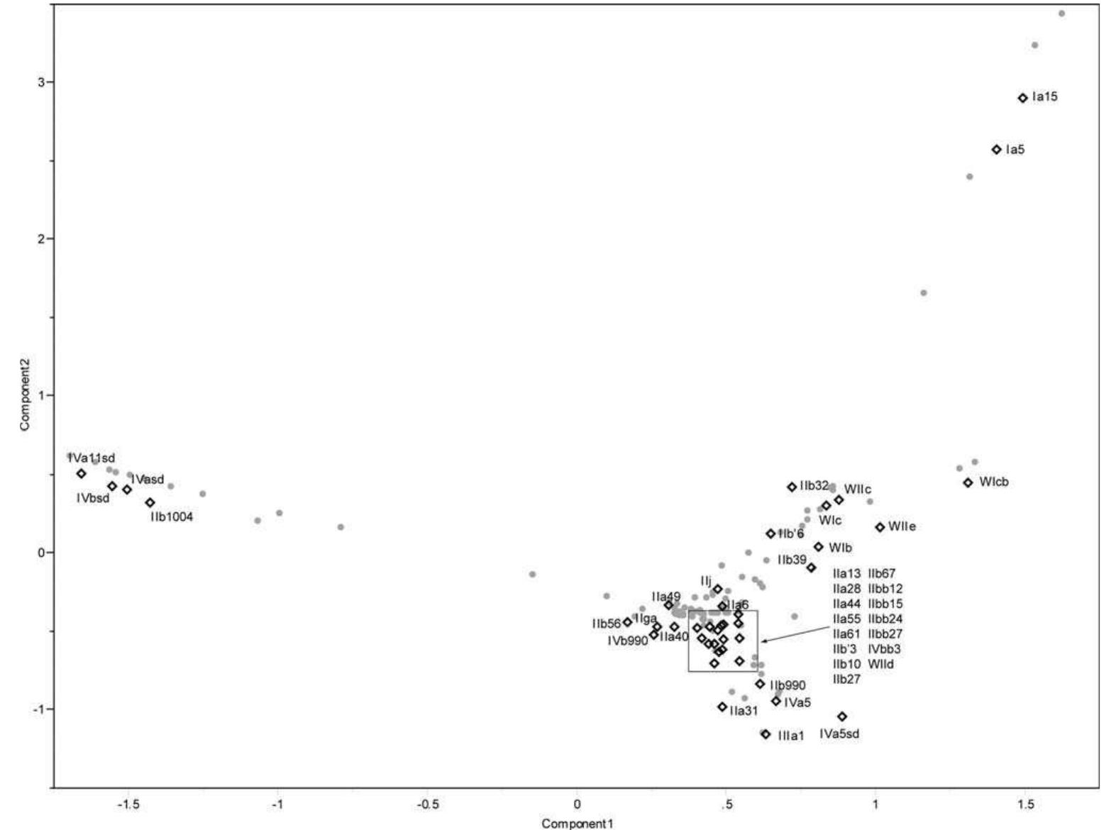 Combined biplot depicting the results of the correspondence