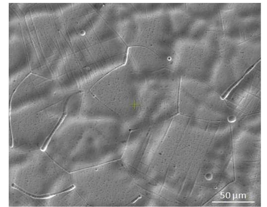Se image showing the as-cast microstructure of