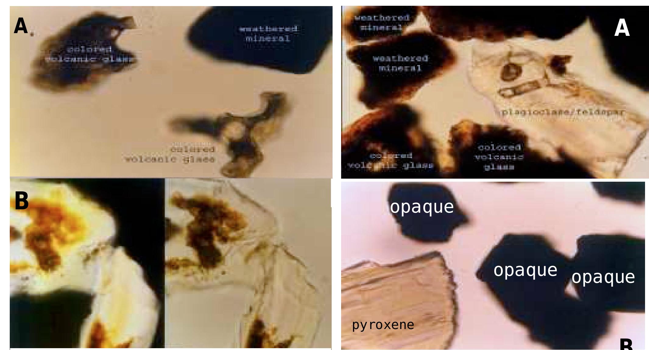 Plate 1. polarizing microscope image of primary minerals: a)