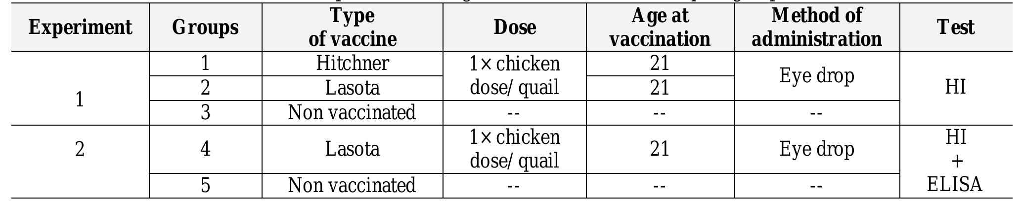 Experimental design for different vaccinated quail groups