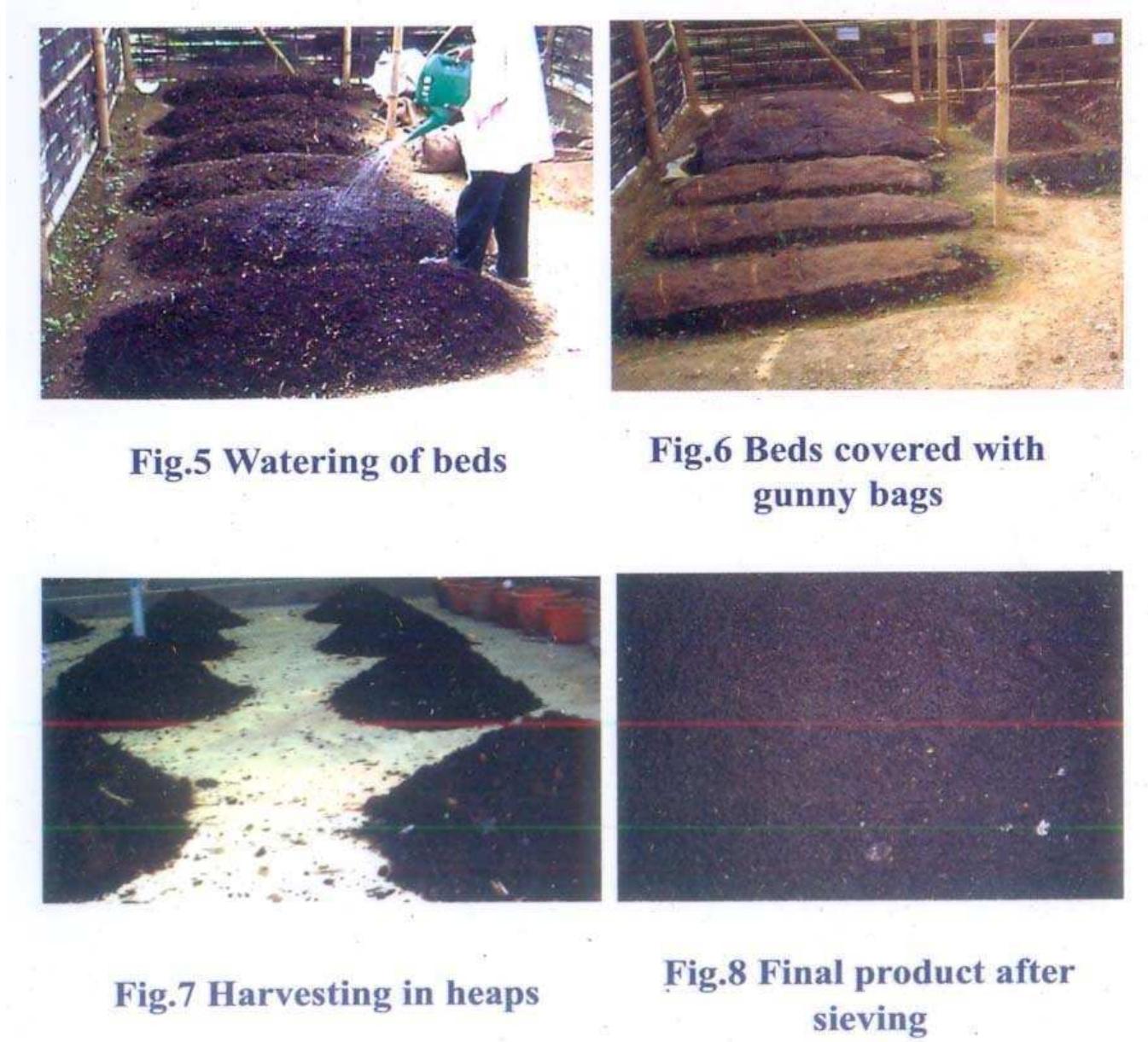 Figure 4 - Vermicompost -Production and Practices